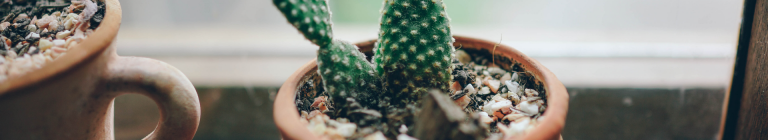 Das 7-Ordner-System: Dein Schlüssel zu einer effizienten digitalen ...